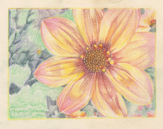 Technique-of-the-Week — Coloured Pencil Flower | Karen Gillmore Art