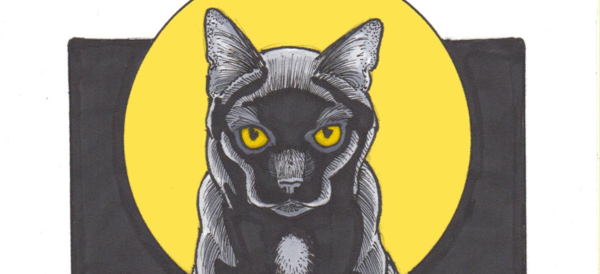 Black Cat Evolution | Karen Gillmore Art