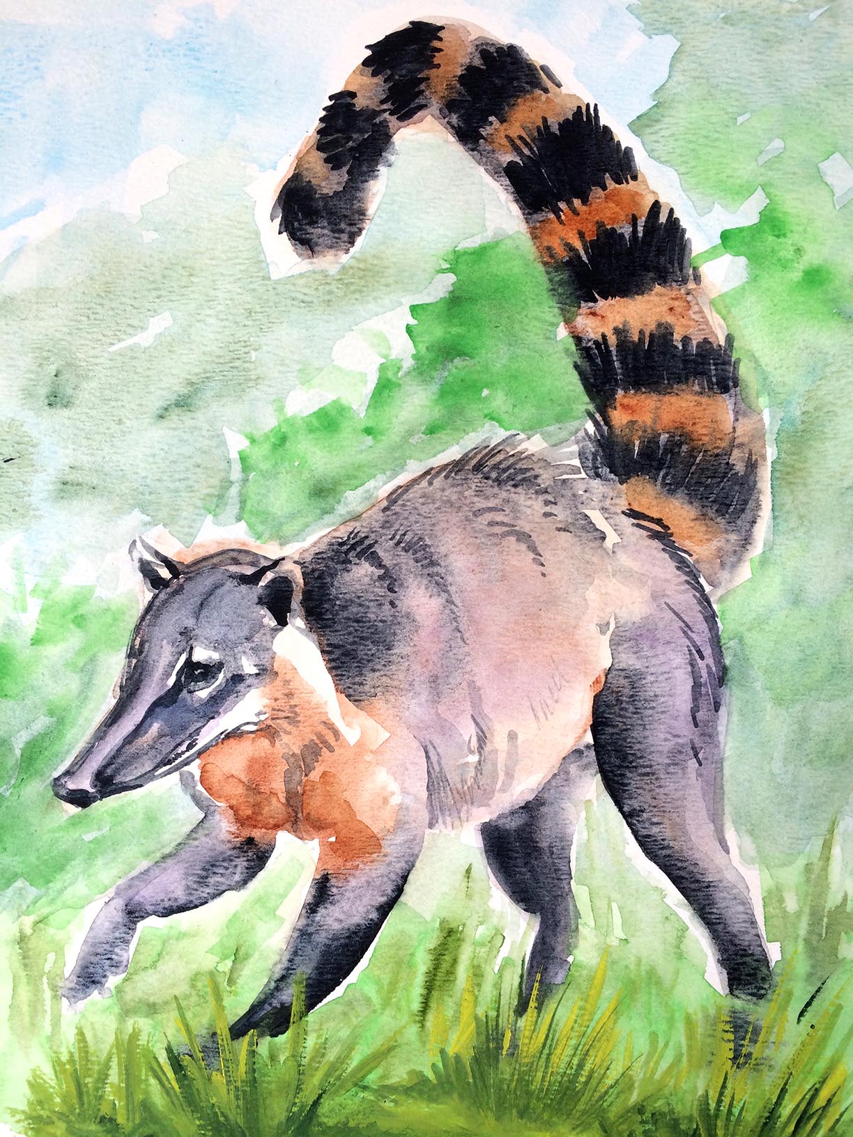 Hey, Let’s Draw Animals! | Karen Gillmore Art